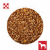 Purina® Omolene® #300 Mare & Foal Horse Feed – Purina Animal Nutrition