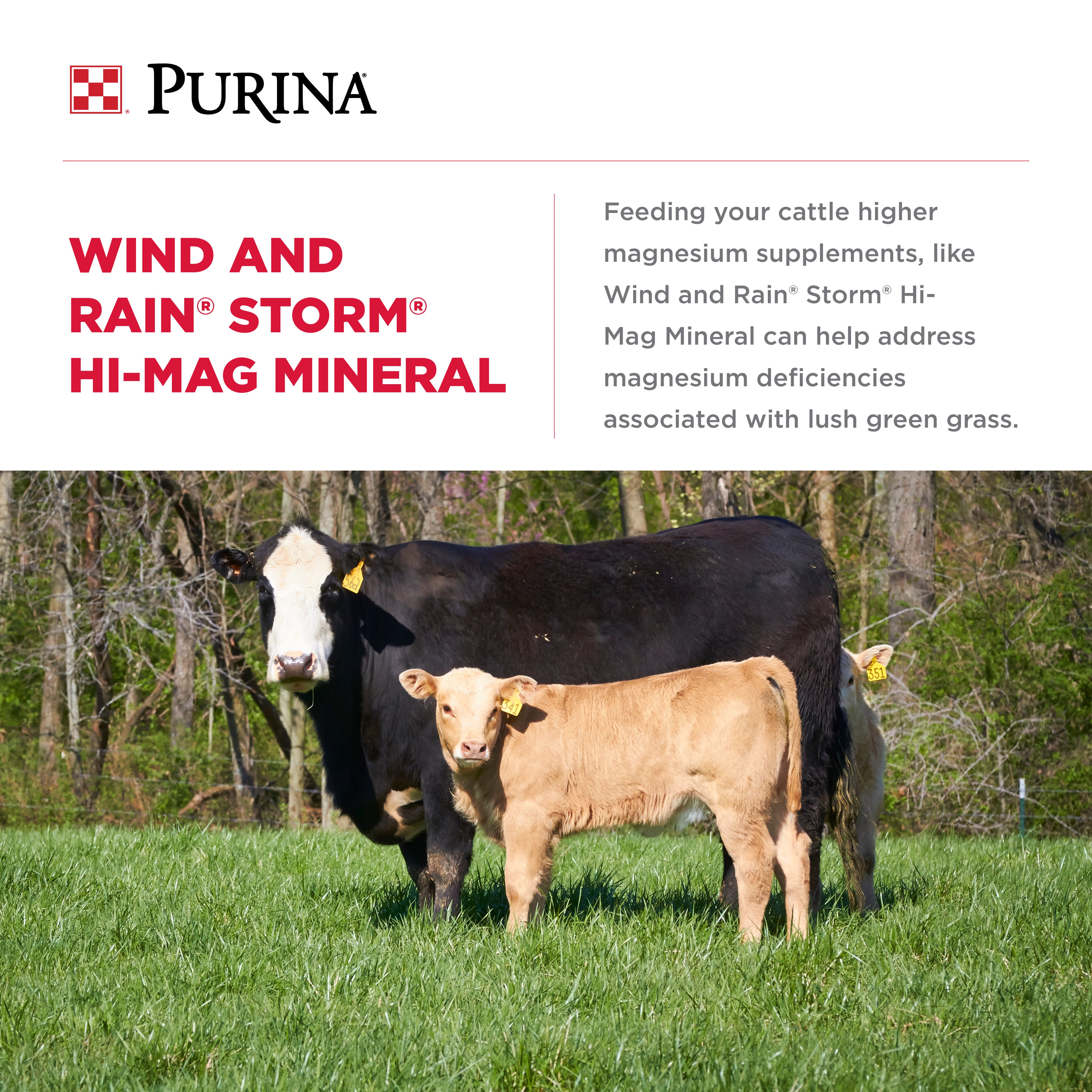 Purina® Wind & Rain® Storm® Hi-Mag 4 Complete Cattle Mineral | Ship to ...