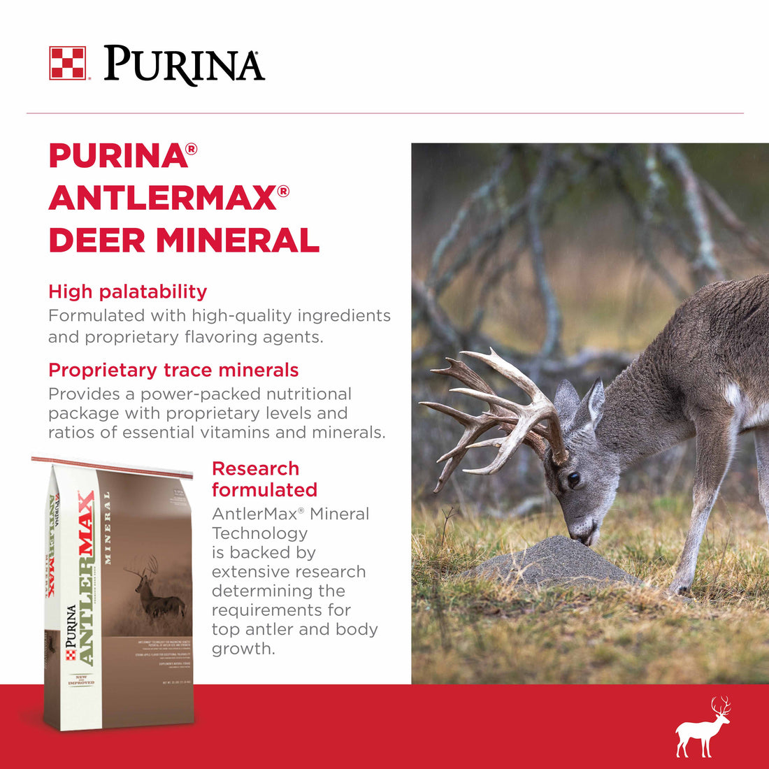 Purina® AntlerMax Premium Deer Mineral | Supports Antler Growth ...