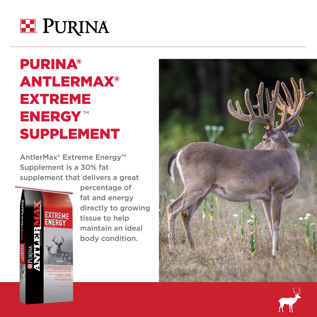 Purina® AntlerMax Extreme Energy High Fat Deer Supplement | Buy Now ...