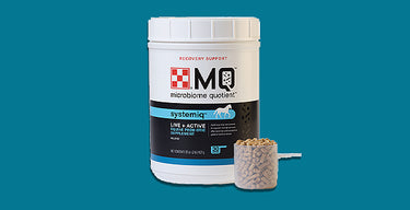 Greatness Starts Here - shop.purinamills.com – Purina Animal Nutrition