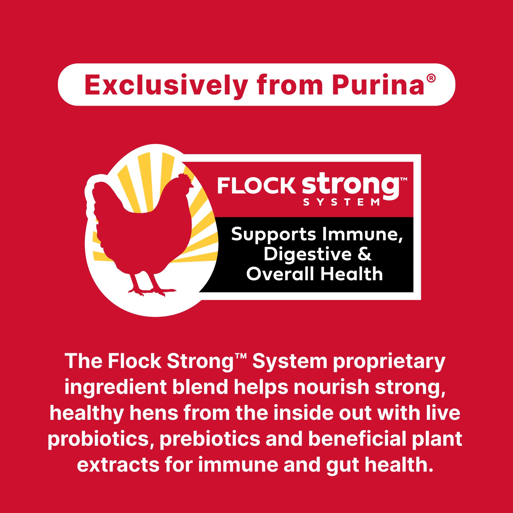 Purina® Farm to Flock™ 18% Layer Hen Food | Textured Feed for Laying ...