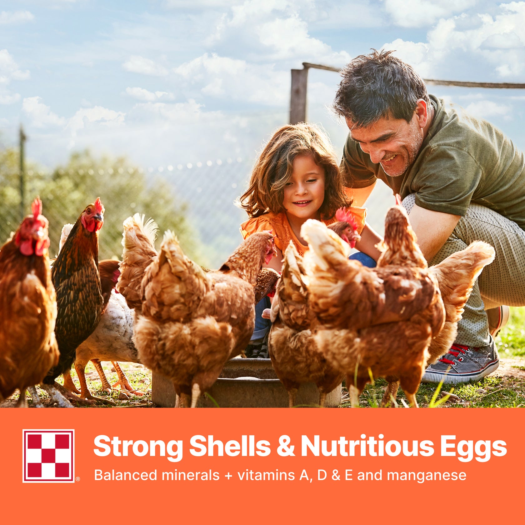 Purina® Farm to Flock™ 18% Layer Hen Food | Textured Feed for Laying ...