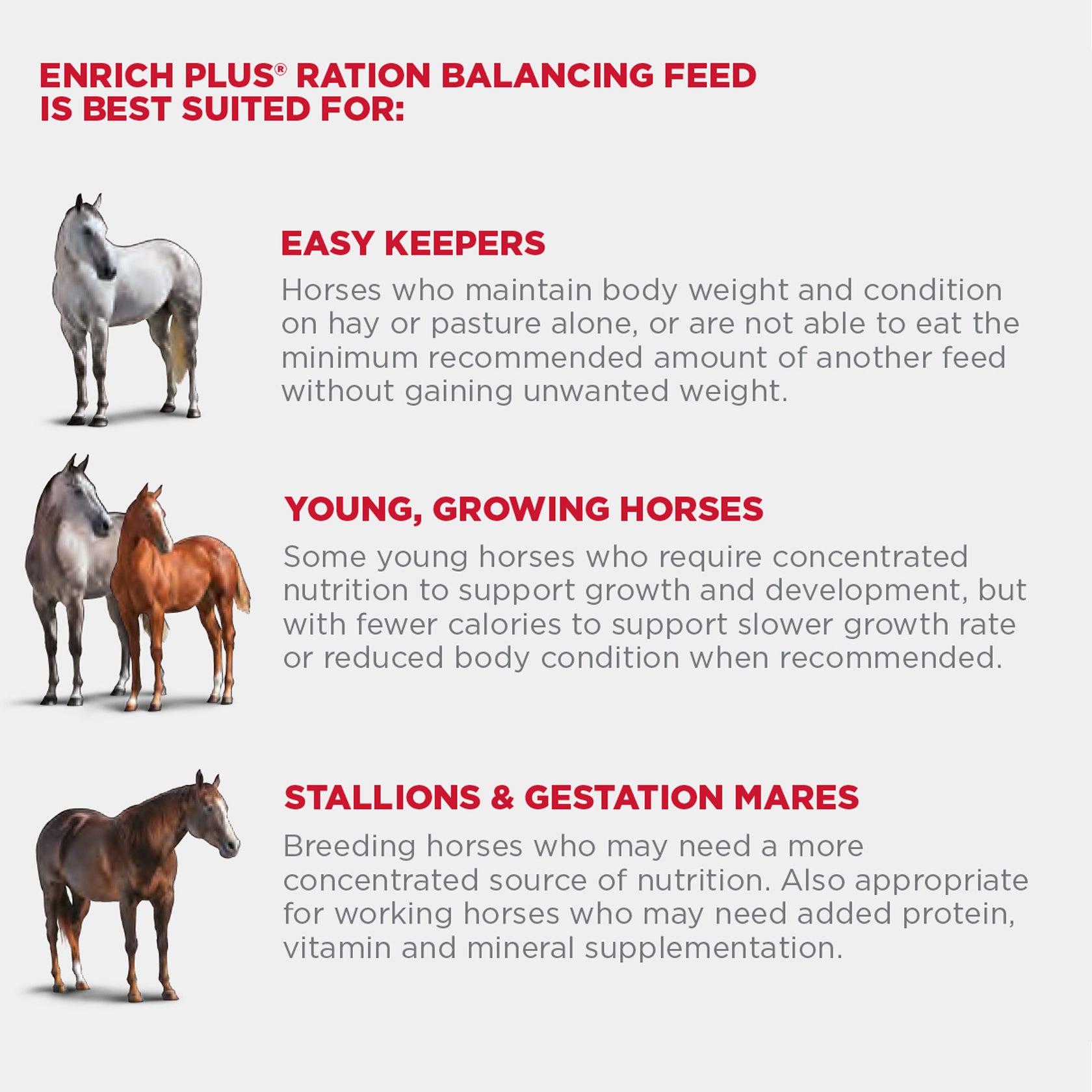 Purina® Enrich Plus Ration Balancing Horse Feed | Concentrated Feed ...