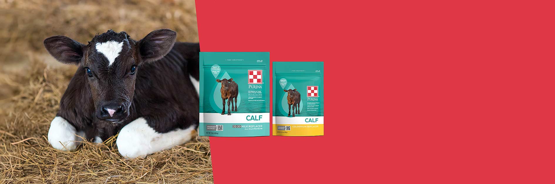 Calf Products – Purina Animal Nutrition