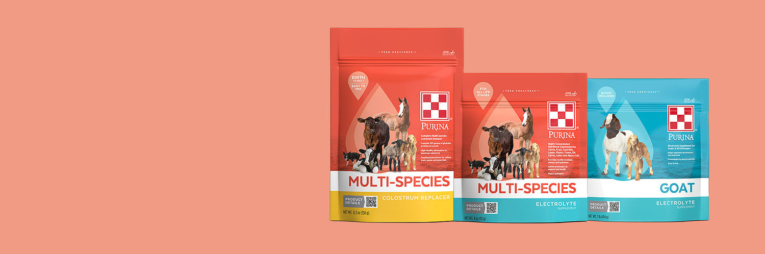 Greatness Starts Here - shop.purinamills.com – Purina Animal Nutrition