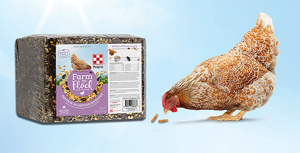 Greatness Starts Here - shop.purinamills.com – Purina Animal Nutrition