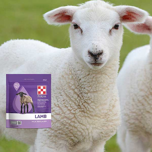 Lamb and Kid Products – Purina Animal Nutrition