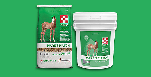 Greatness Starts Here - shop.purinamills.com – Purina Animal Nutrition