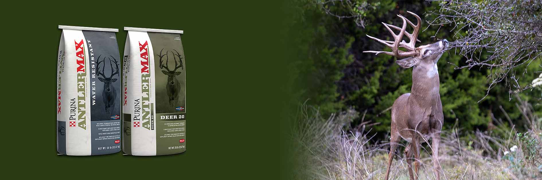 Greatness Starts Here - shop.purinamills.com – Purina Animal Nutrition