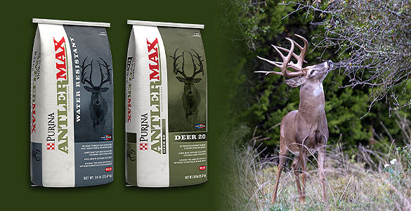 Greatness Starts Here - shop.purinamills.com – Purina Animal Nutrition