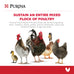 Purina® Flock Raiser Pelleted Poultry Feed | All Flock Feed – Purina ...