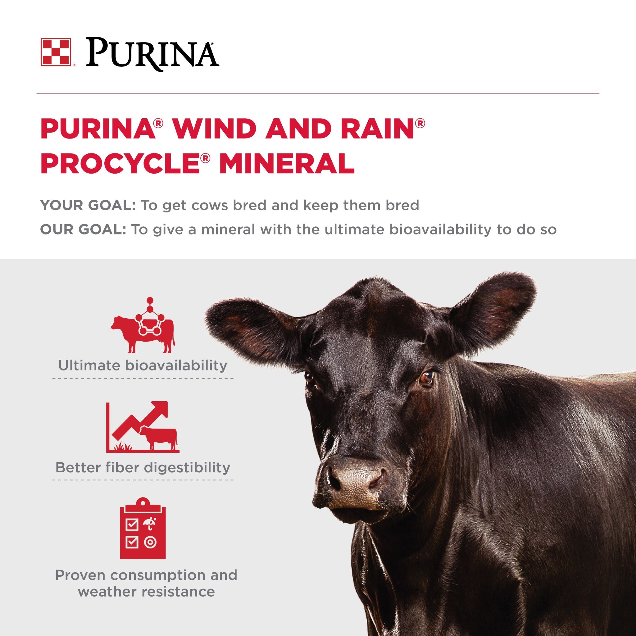 Purina Wind and Rain Storm All Season 7.5 ProCycle Beef Cattle Mineral ...