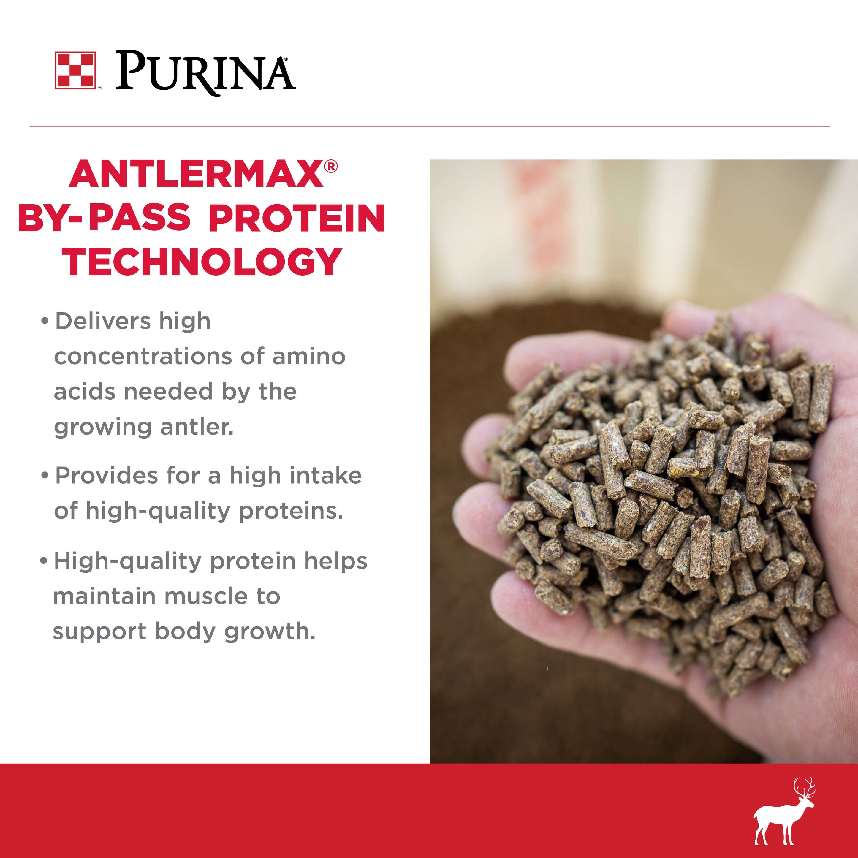 Purina® AntlerMax Deer 20 Feed Climate Guard® | Supports Antler Growth ...