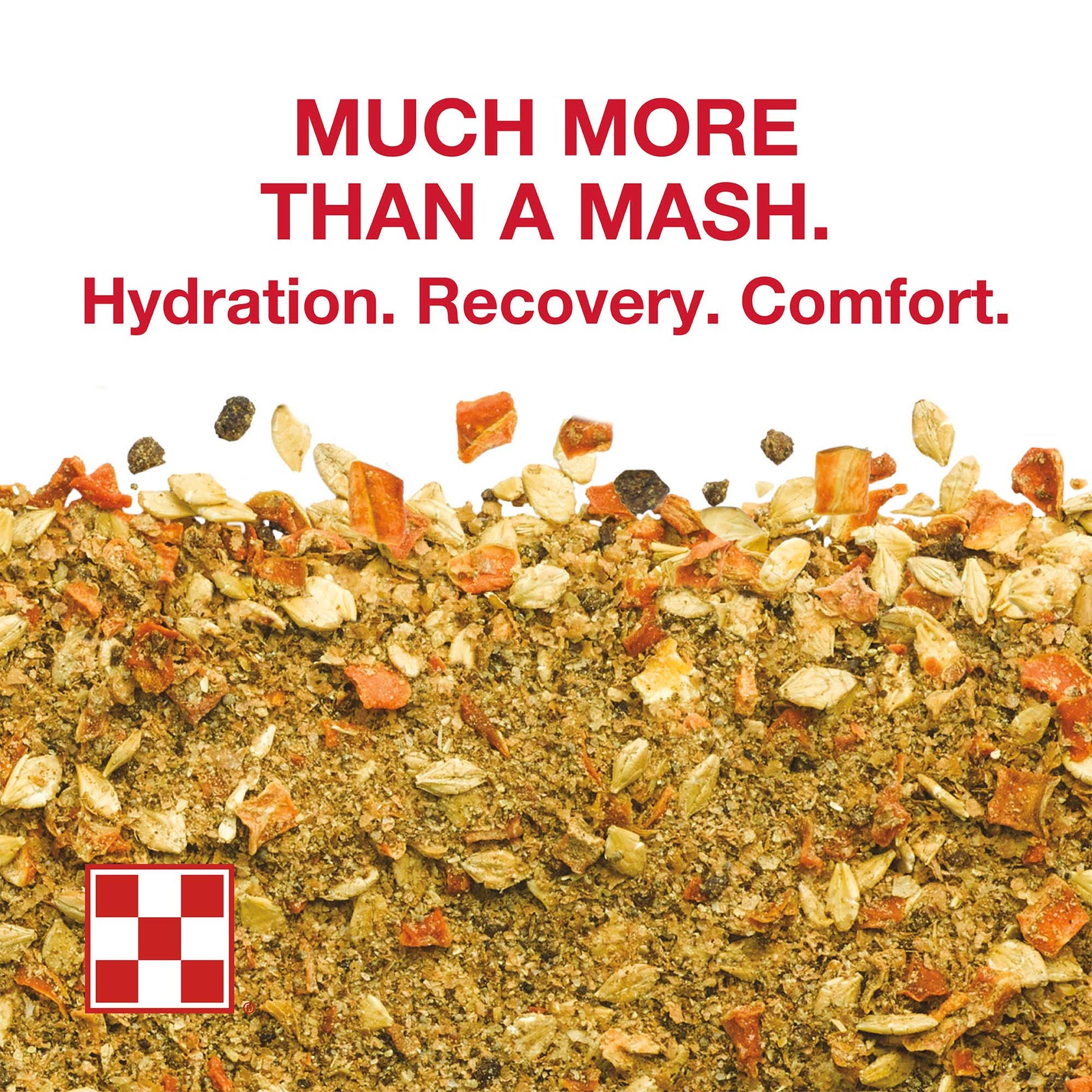 Purina® RepleniMash Product | Support Your Horse's Recovery – Purina ...