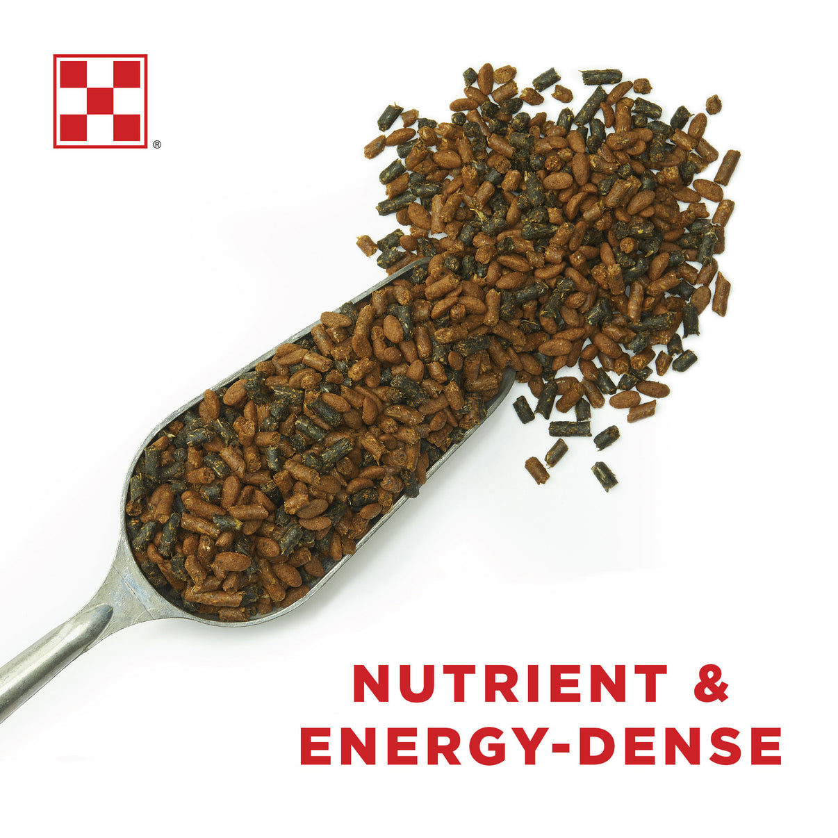 Purina® Ultium® Competition Horse Feed | With Beet Pulp – Purina Animal ...