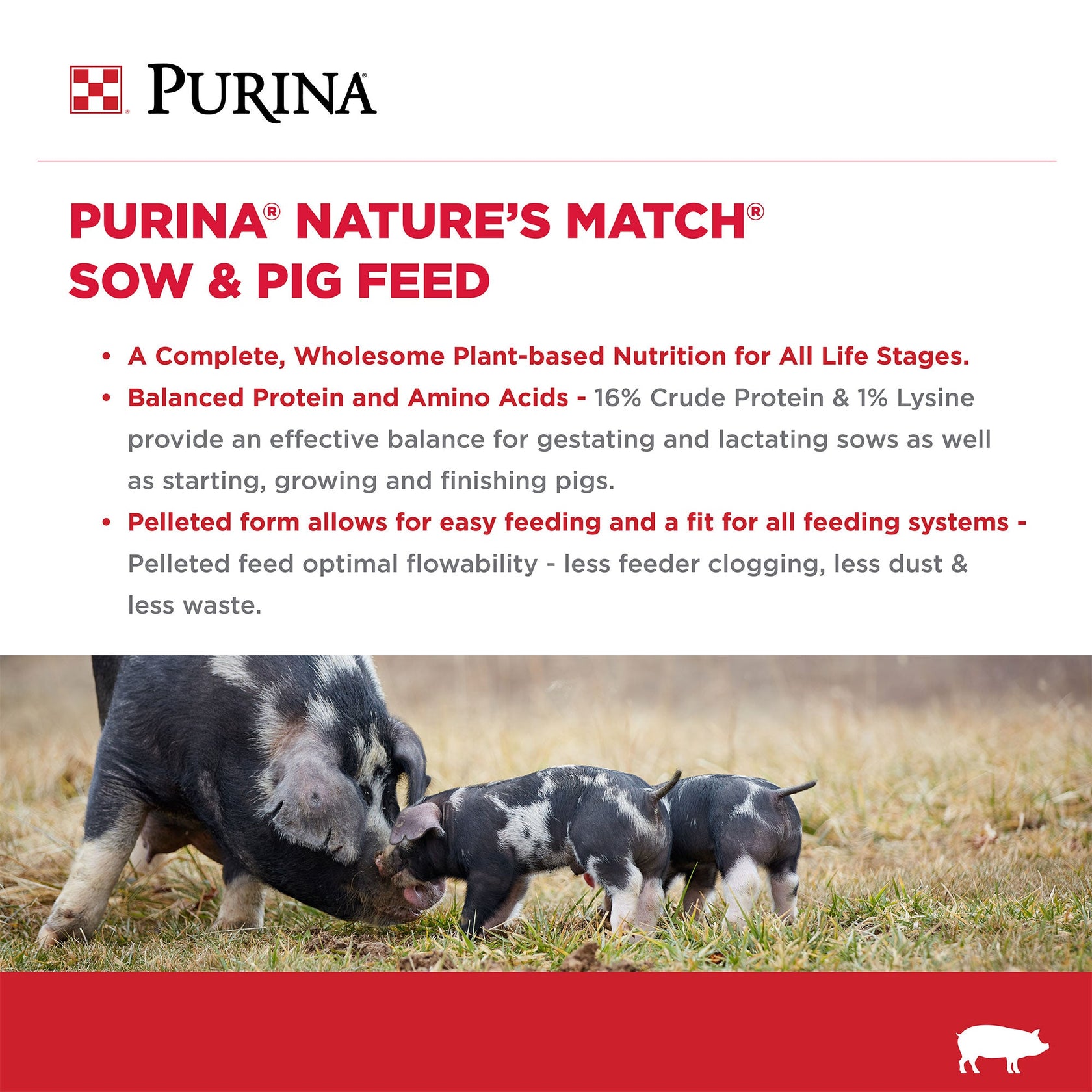 Purina® Nature’s Match® Sow & Pig Complete Feed | Shop Now – Purina ...